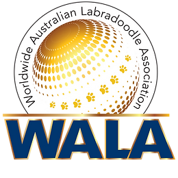 Why I Became a Certified Breeder with the Worldwide Australian ...
