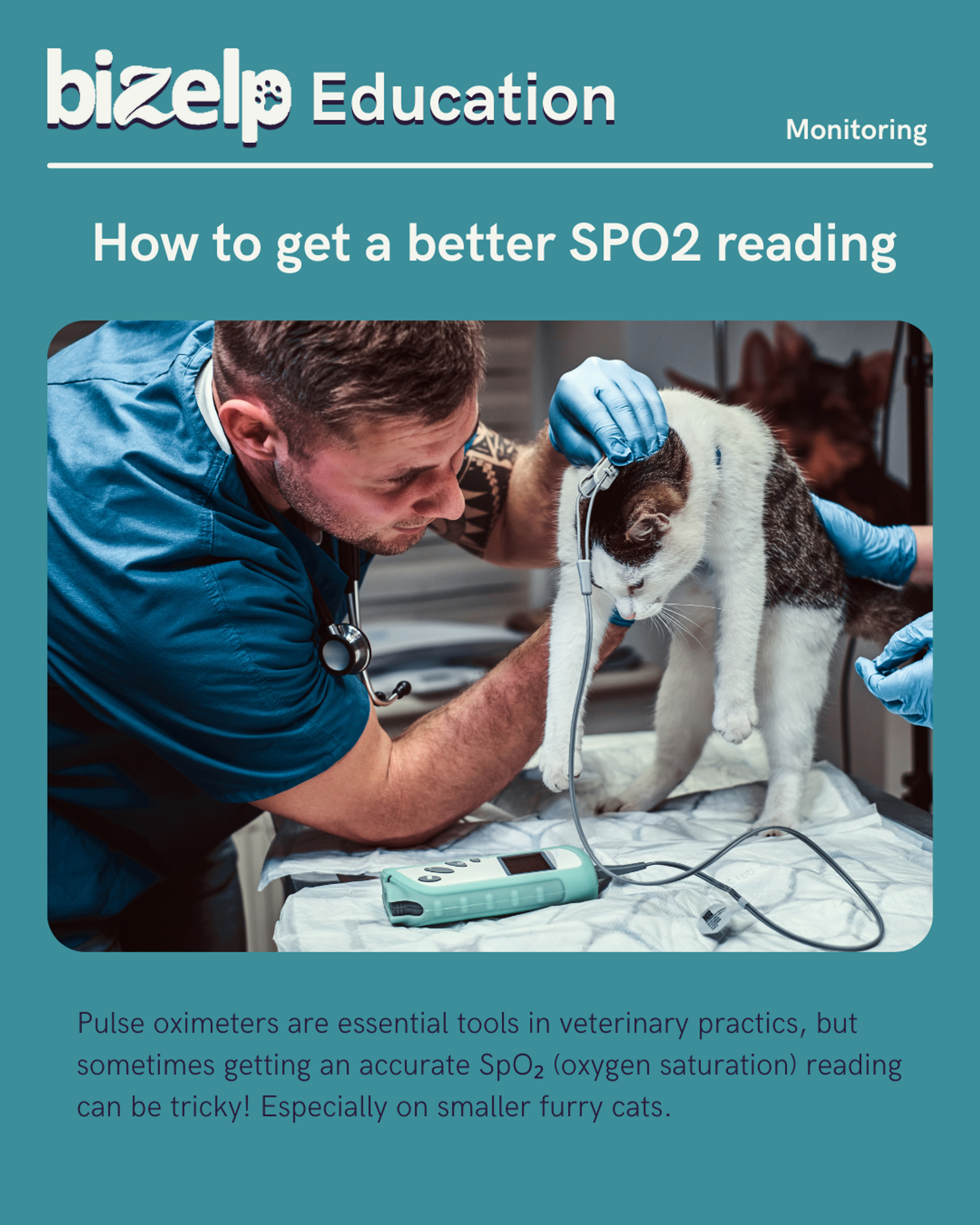 How to Get a Better SpO2 Reading in Veterinary Practice 🩺