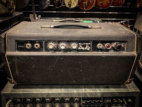 EKO Duke | Alligator-amps new