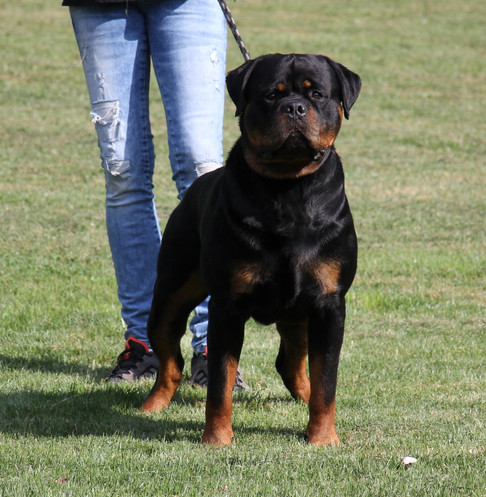 Success | Vom Yeomans Haus