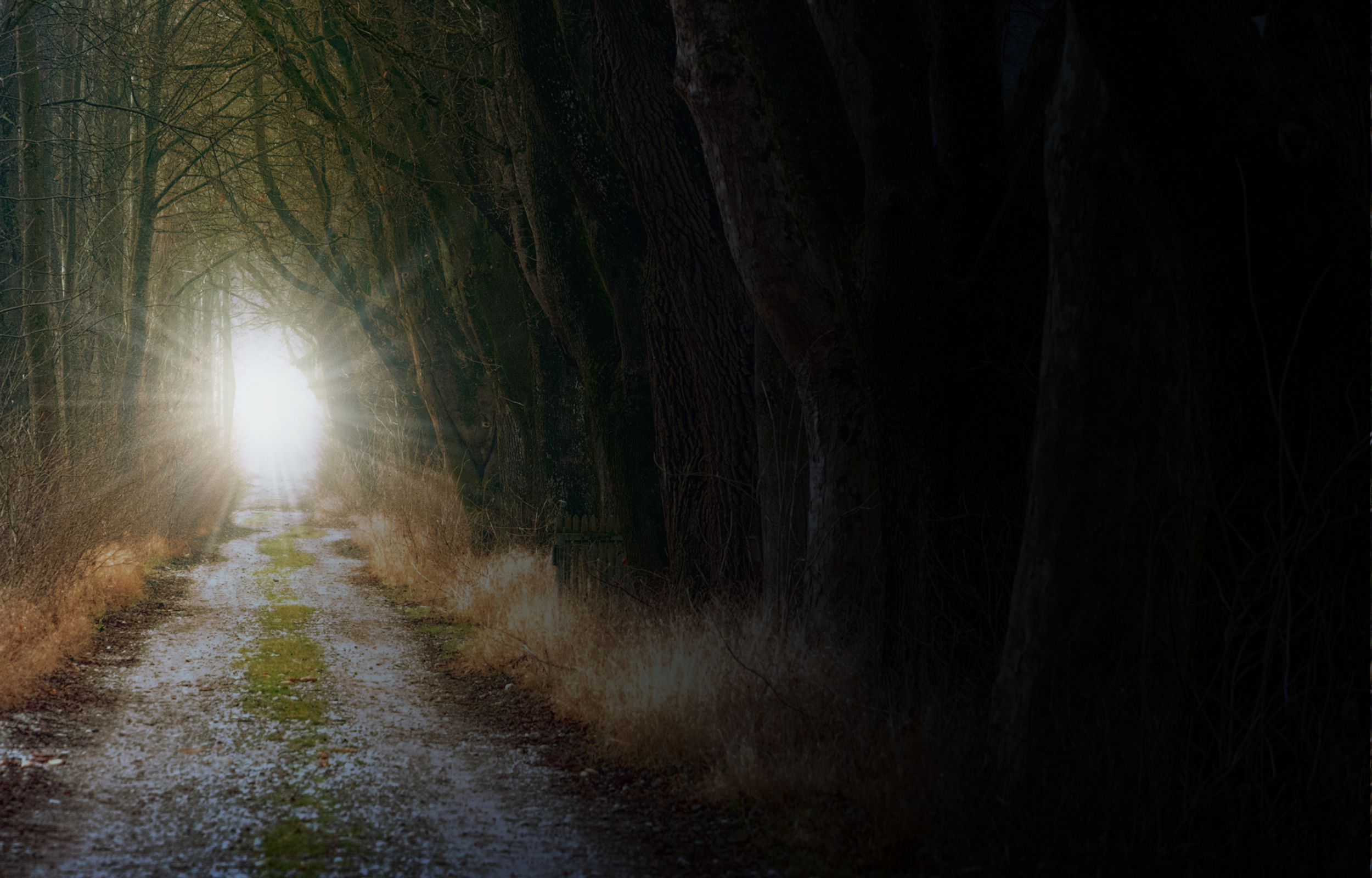 A Map for Transcendence with Russell Sturgess