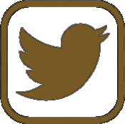 JOSH BERNSTEIN - Explorer | Educator | Storyteller