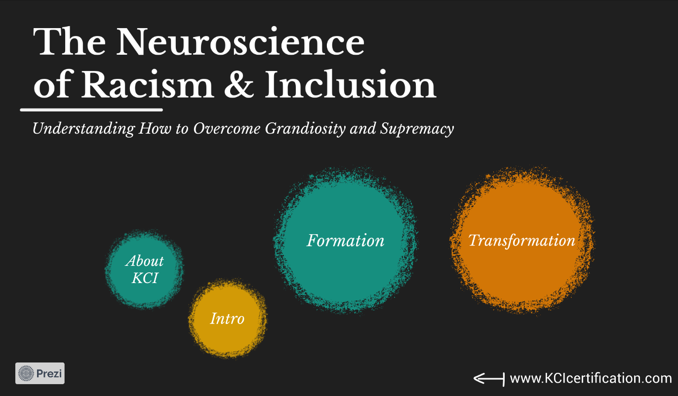 Slides Neuroscience of Racism | mysite