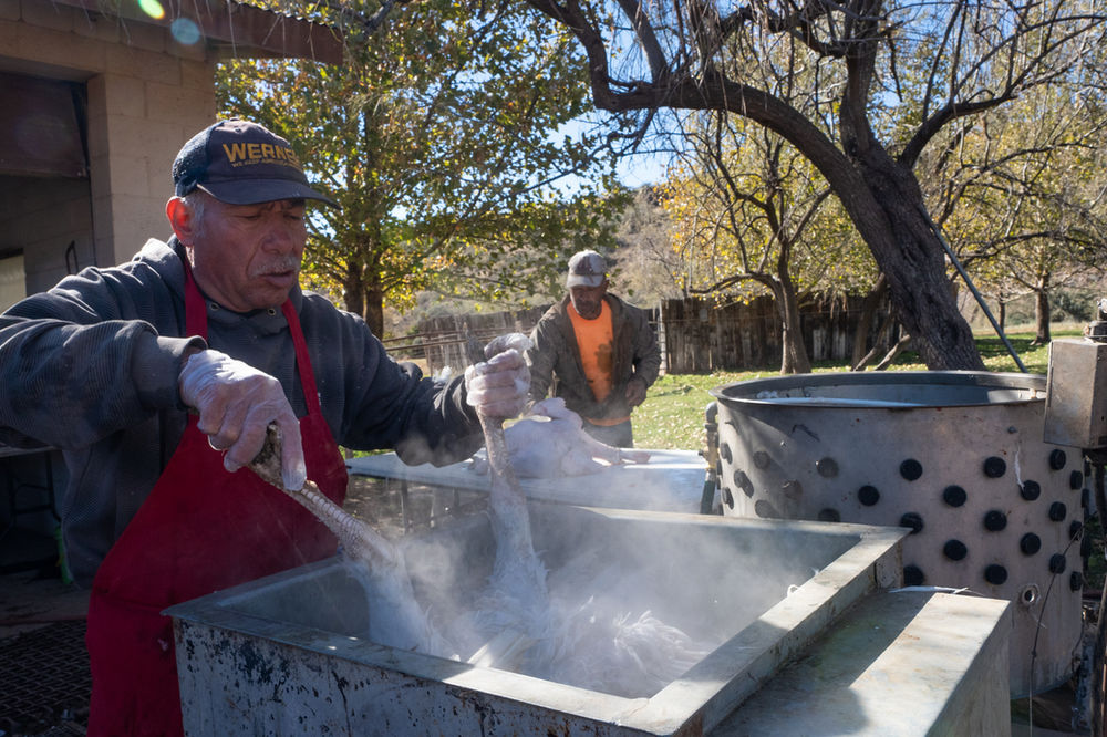 ...Turkey Processing!