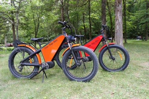 TT29 Performance long range | Cedar Ridge Bikes