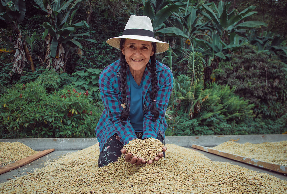 El Café de Colombia: una joya de sabor y cultura