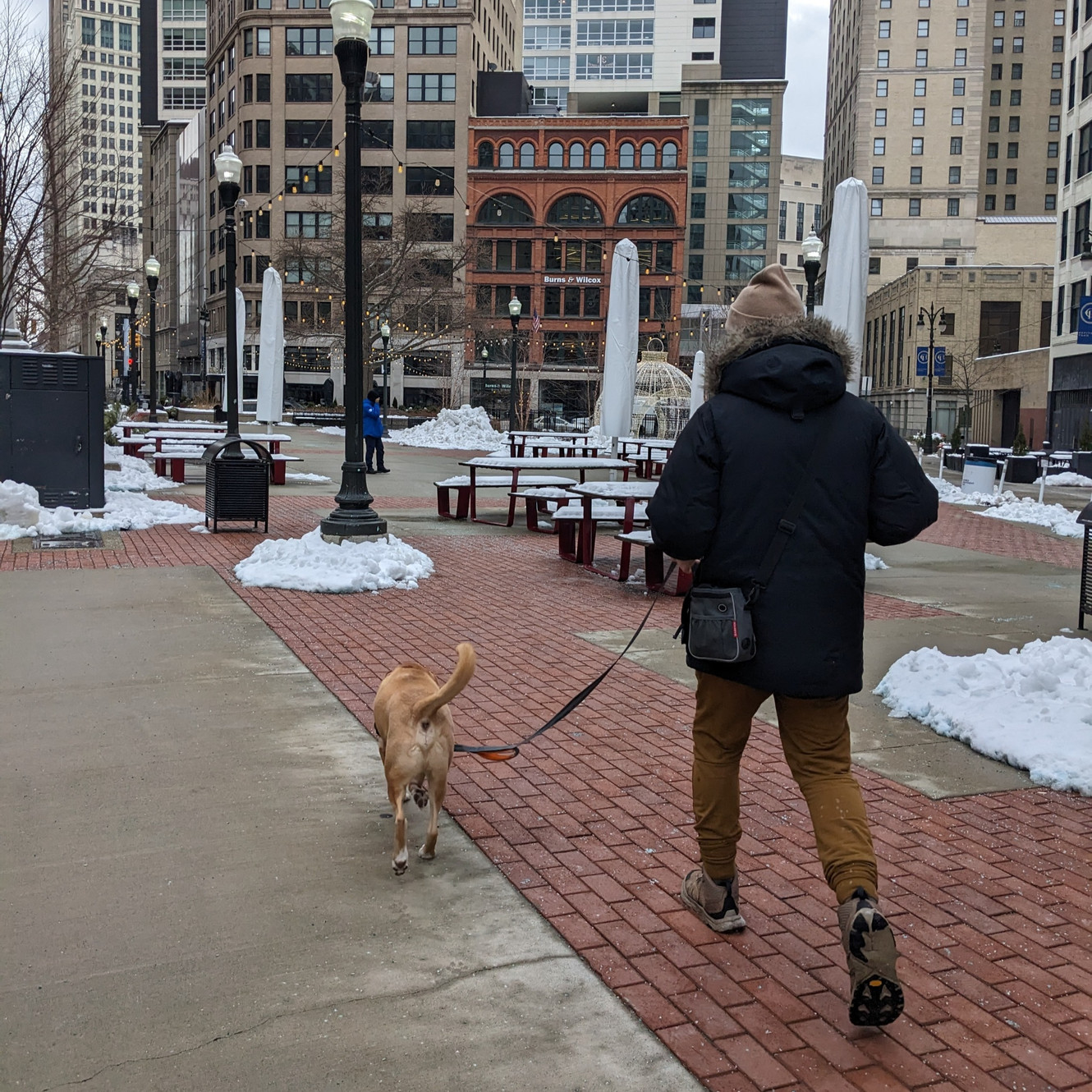 About | The Good Dog Company