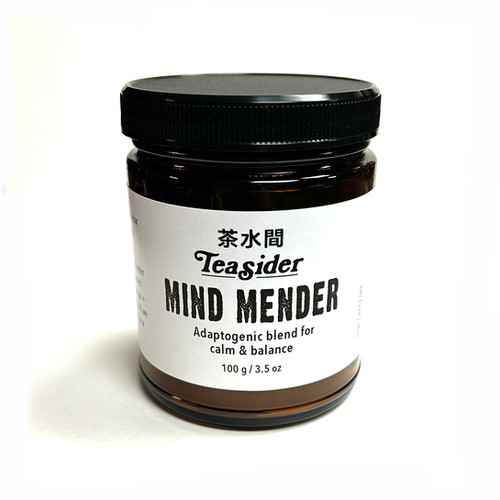 MIND MENDER | Teasider