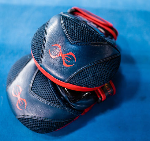 Home | 0 To 100 Boxing