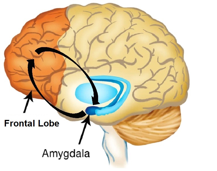 How To Beat Intrusive Thoughts