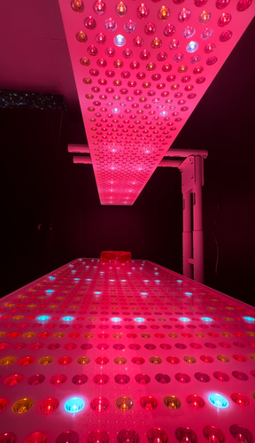 The ULTRA BED | Thera-RED Light