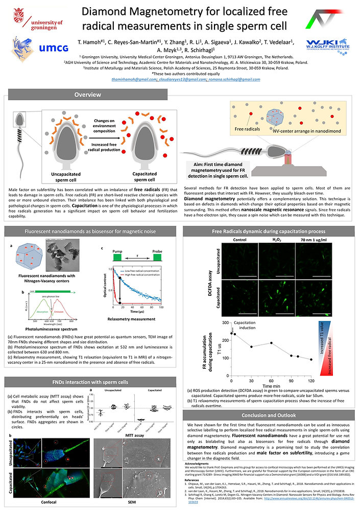 Claudia and Thamir win the MDPI Materials poster challenge