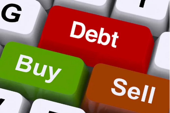 Purchasing and Liquidating Debt Portfolios in Ohiohttps://static ...