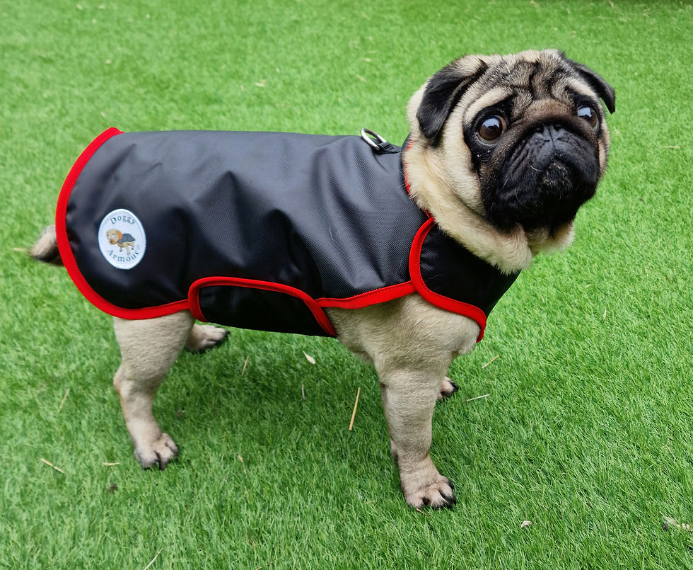 Doggy Armour | Bite-resistant dog coats
