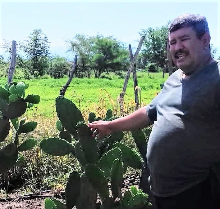 Visit to a Nopal Cactus Farm