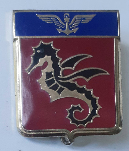 Insigne - FR385510a Flottille 1 F - 11 F | leveques-militaria