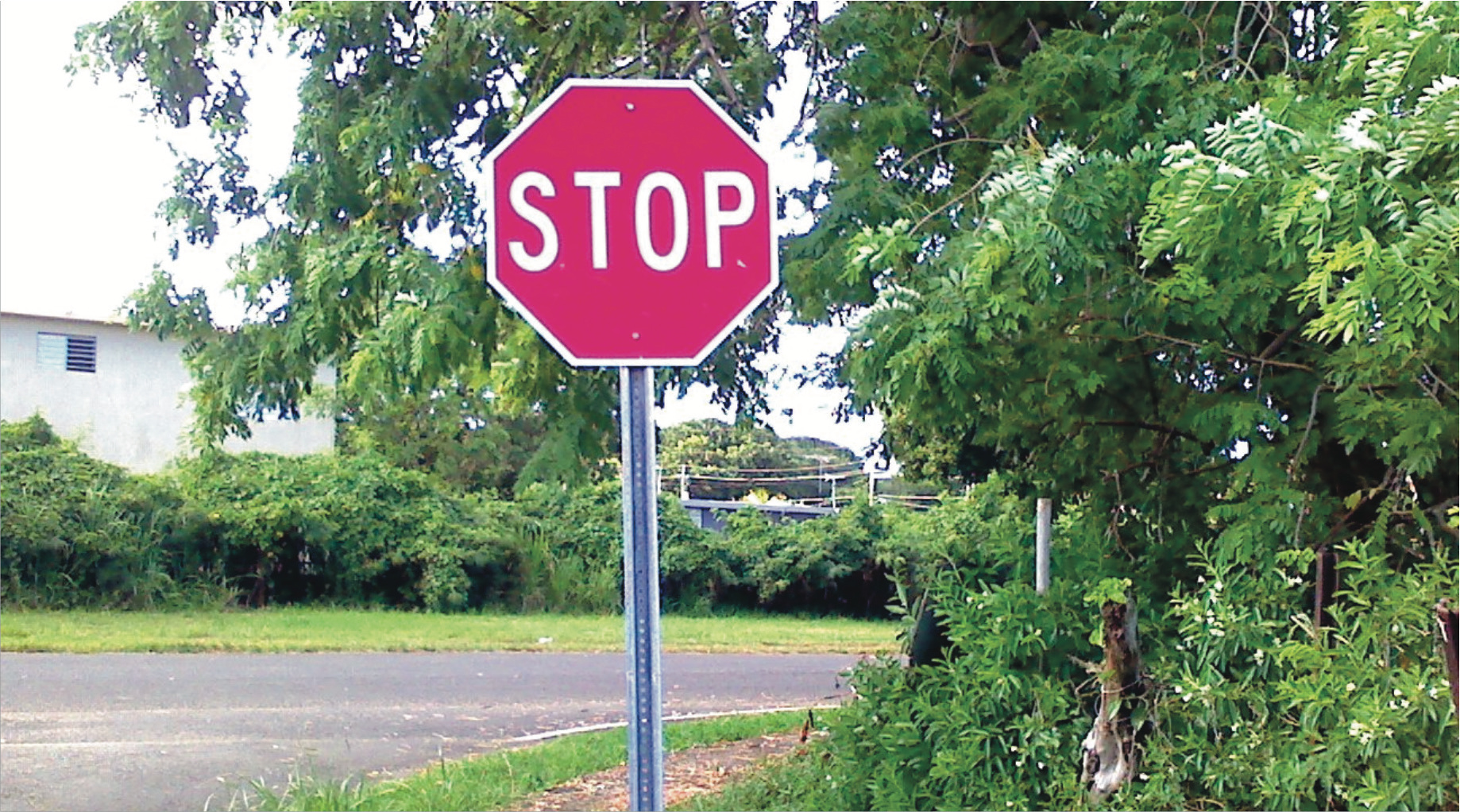 Compu Signs | Rótulos y letreros | Puerto Rico