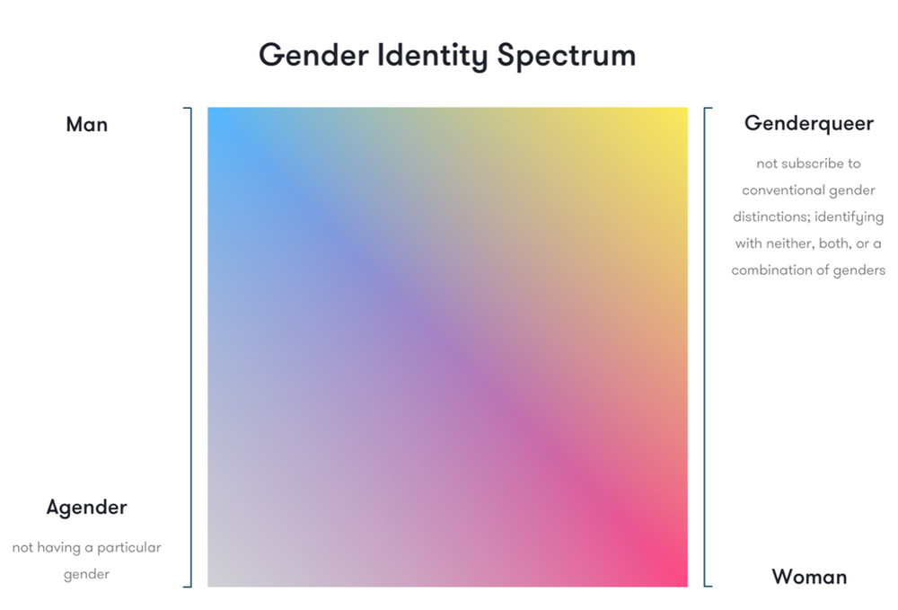 Gender: identity, body, expression, and attribution.