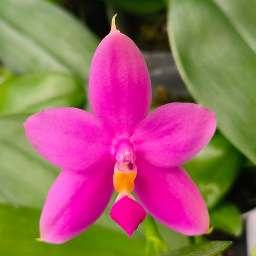 Naming right (HS23) | website