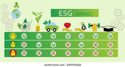 Divergence of ESG Ratings - Views by a Professional ESG Researcher