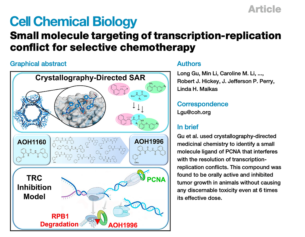 Small molecule targeting of transcription-replication conflict for ...