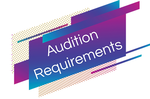 Audition Information | Illinois Chamber Music Academy | Morton