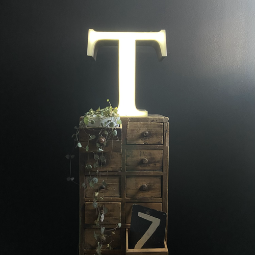 Vintage Illuminated Shop Sign Letter T | Saltmill Vintage