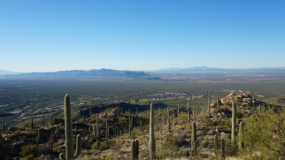Dove Mountain Development Status June 2021