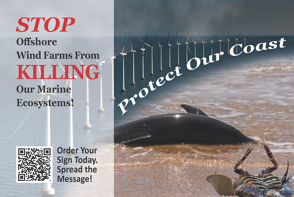 Senator Hocker and Rep. Gray Aim to Protect Delaware Beaches