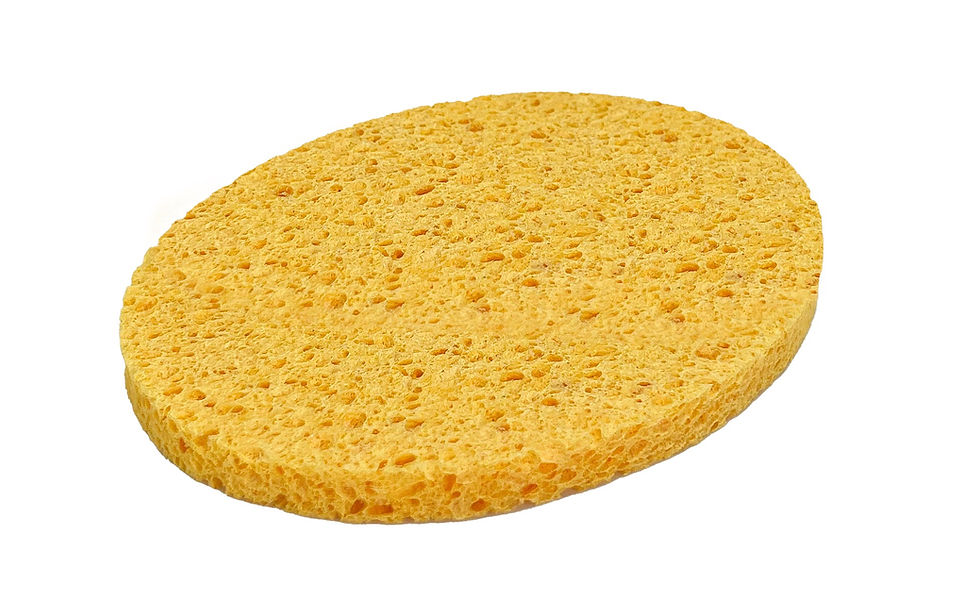 CELLULOSE SPONGE | INTERCLEAN