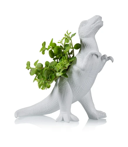 Pot de fleurs Plantosaurus Rex Dinosaure T-Rex | la CoinCaillerie ...