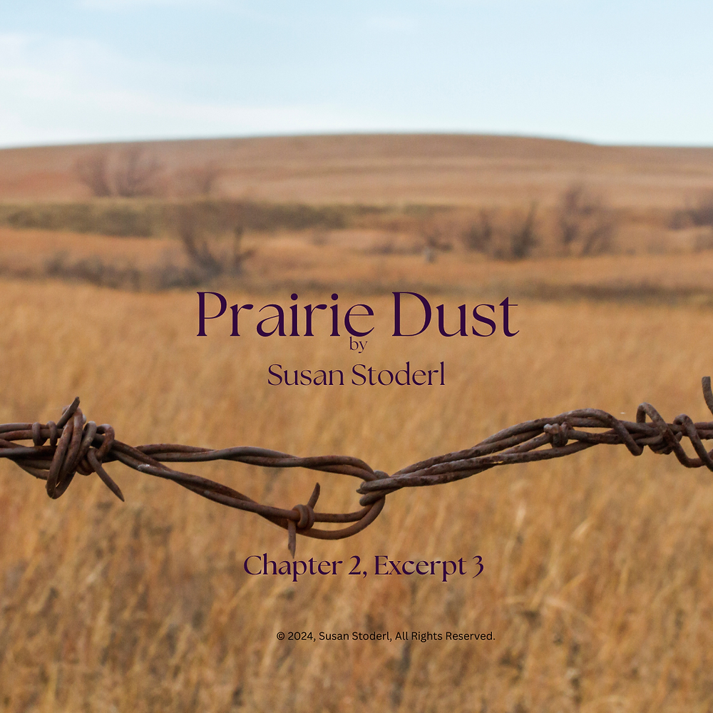 Prairie Dust | A Historical Family Saga of Homesteading on the Eastern ...
