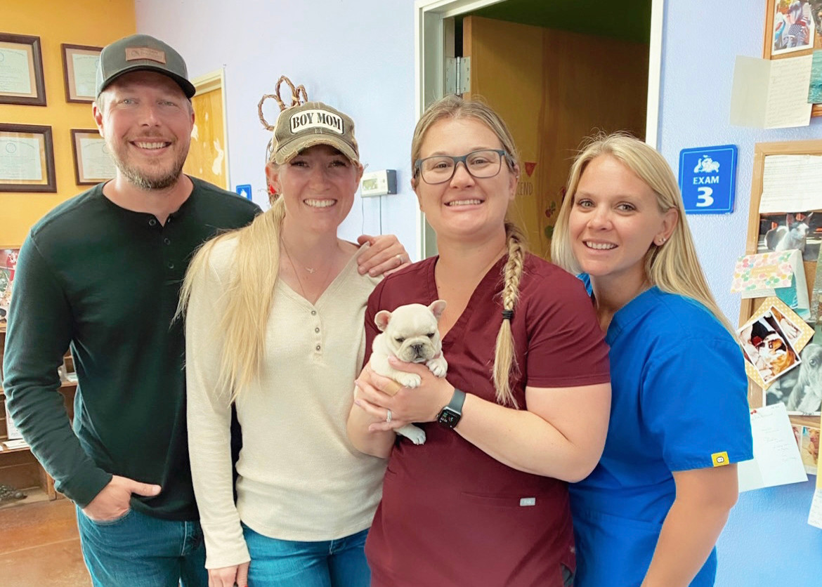 About Us | Rogue Valley Frenchies | Reno, NV