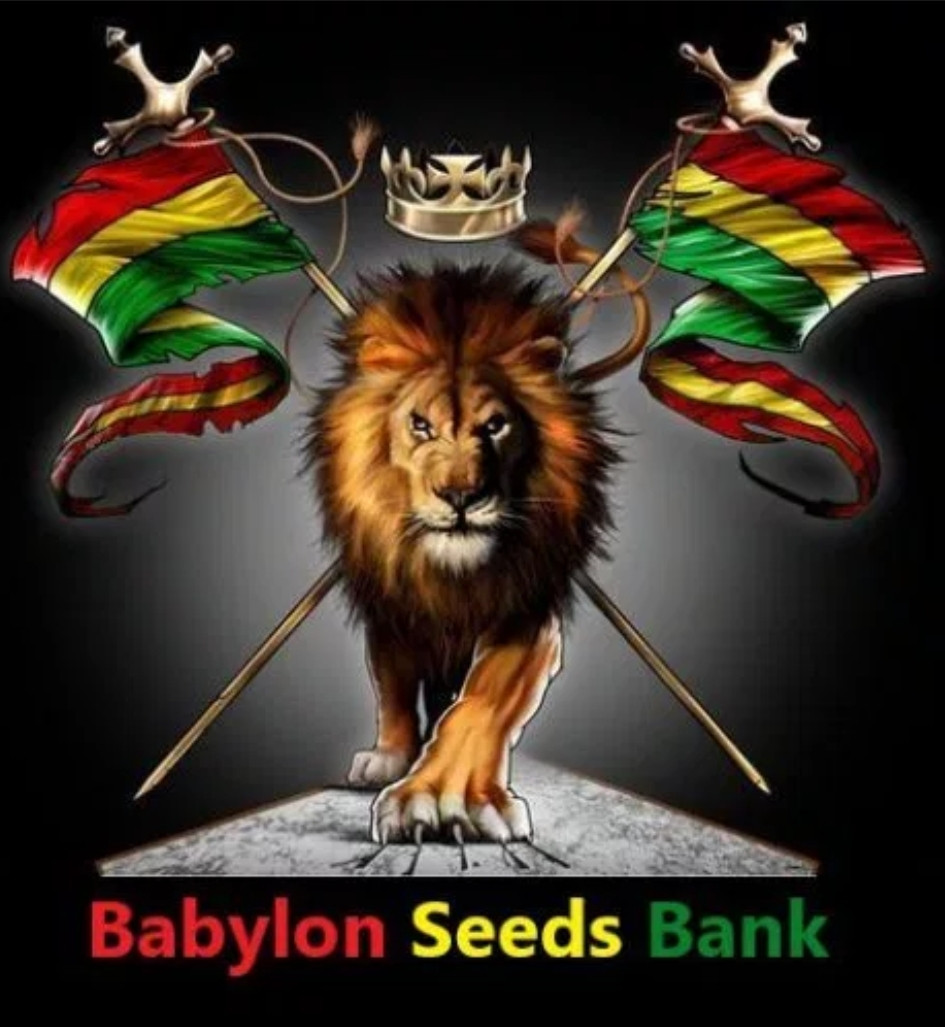 Regulares | Babylon Seeds Bank