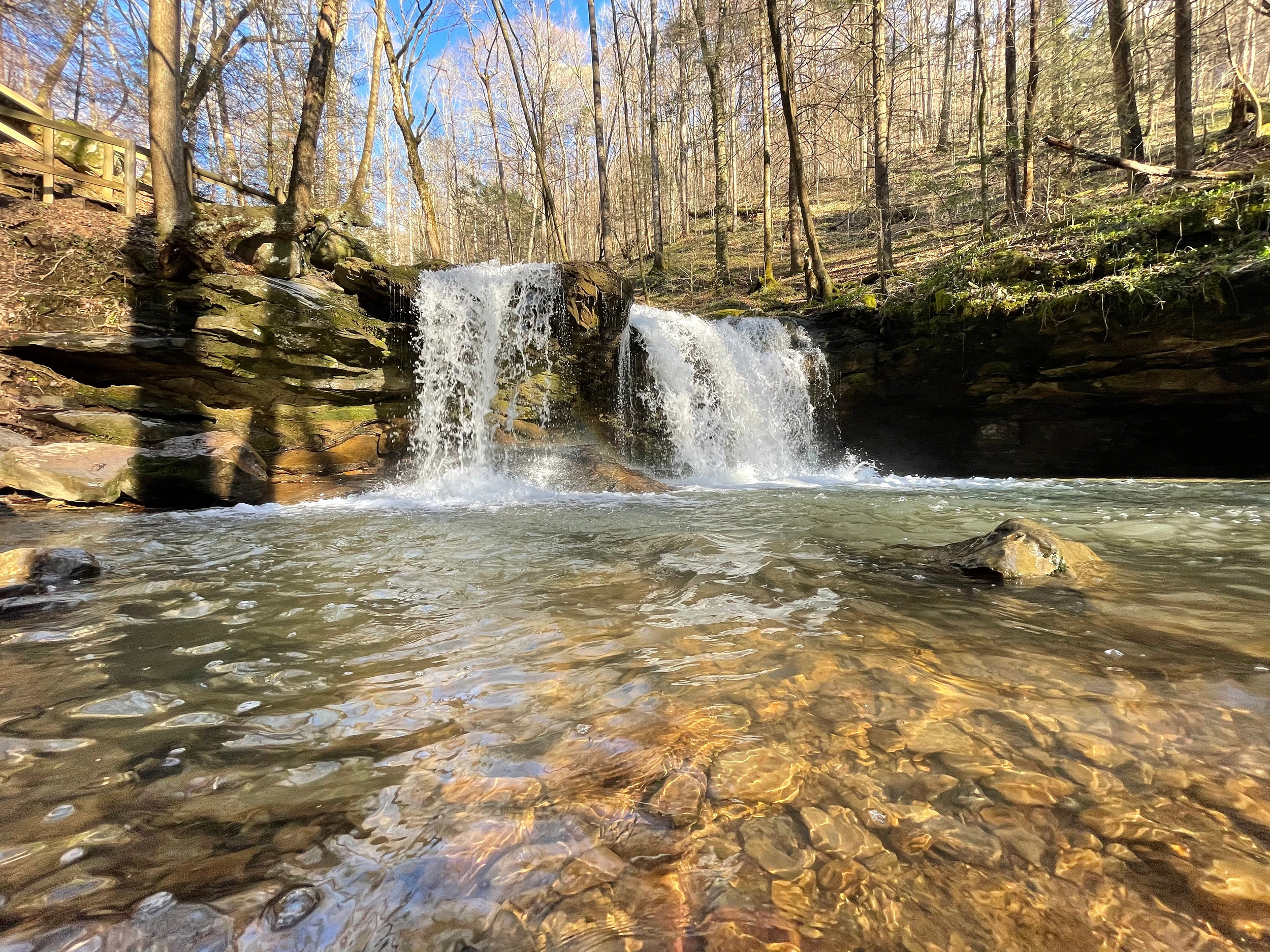 Hike MoCo TNMLHM Hiking Marathon | mcta