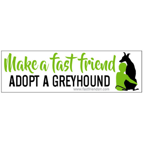 Fast Friends Bumper Sticker | fastfriends