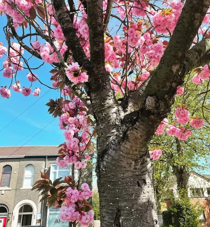 Cloudy with patchy rain