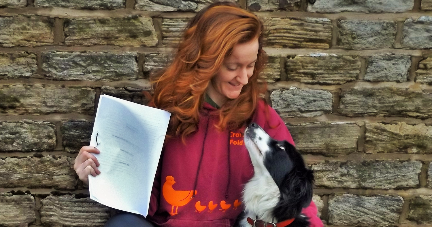 Sheepdog training by Dot McCarthy