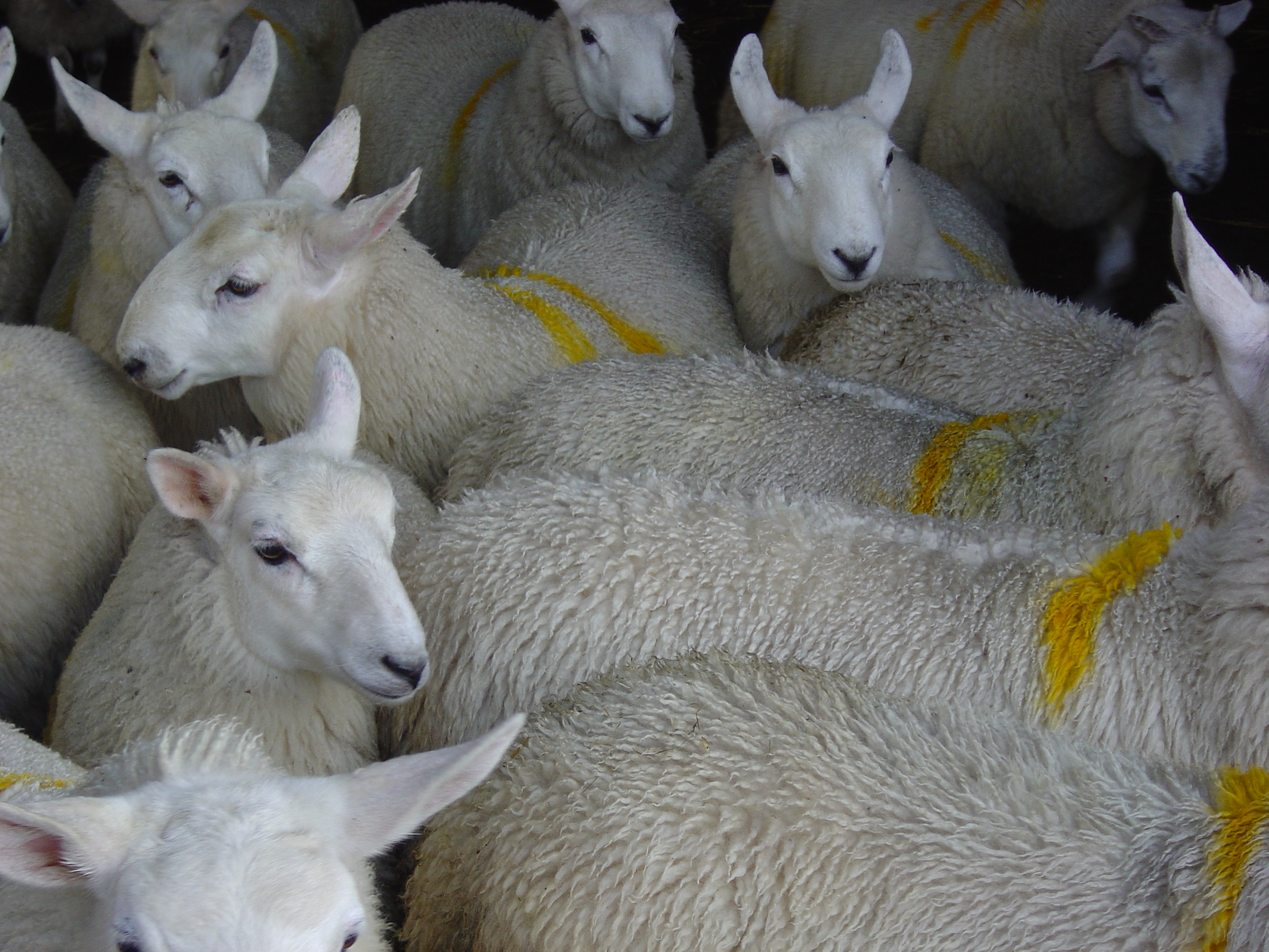 Our farming philosophy and ethics