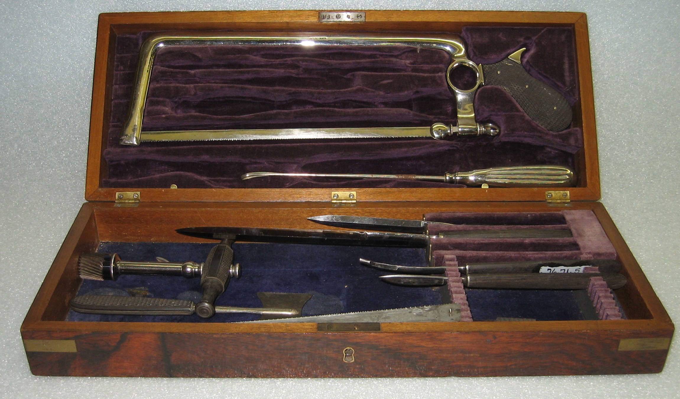 Rachel Gleason | gildedage