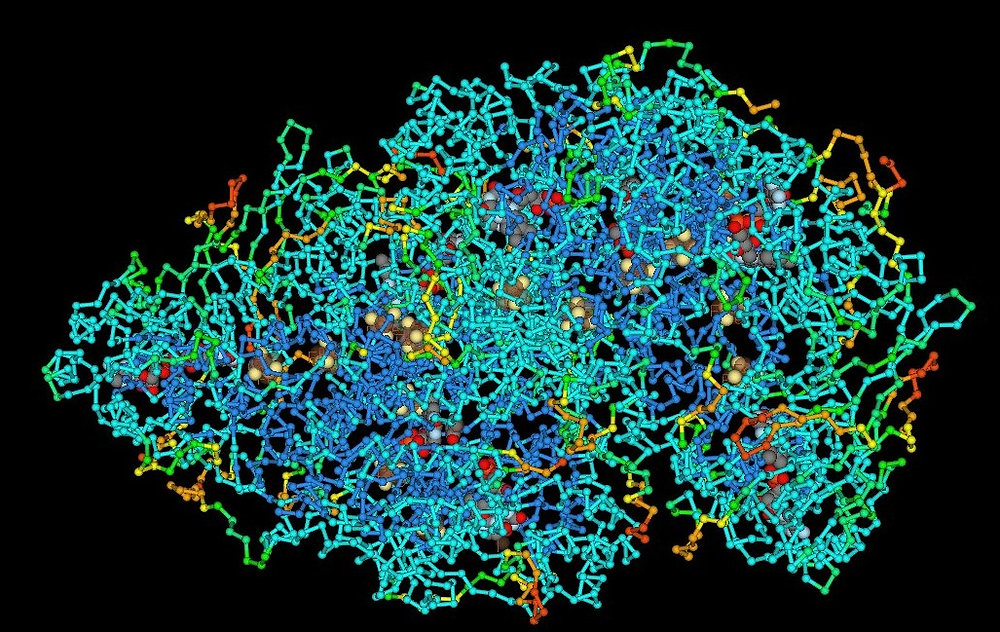 Die Entstehung des Lebens