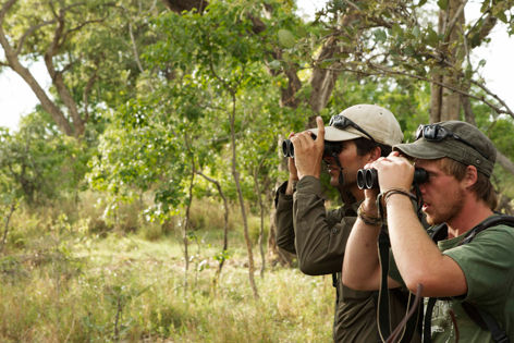 10 traits of a great guide safari guide