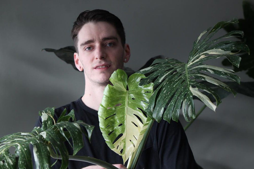 Plant Whisperers: Jesse And His Plant Filled Apartment