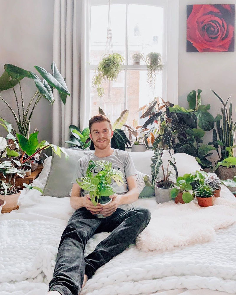 Plant Whisperers: Stuart Wilson