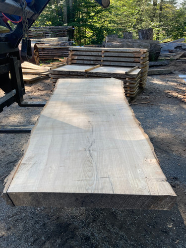 Ash #20 | DenArt Inc.