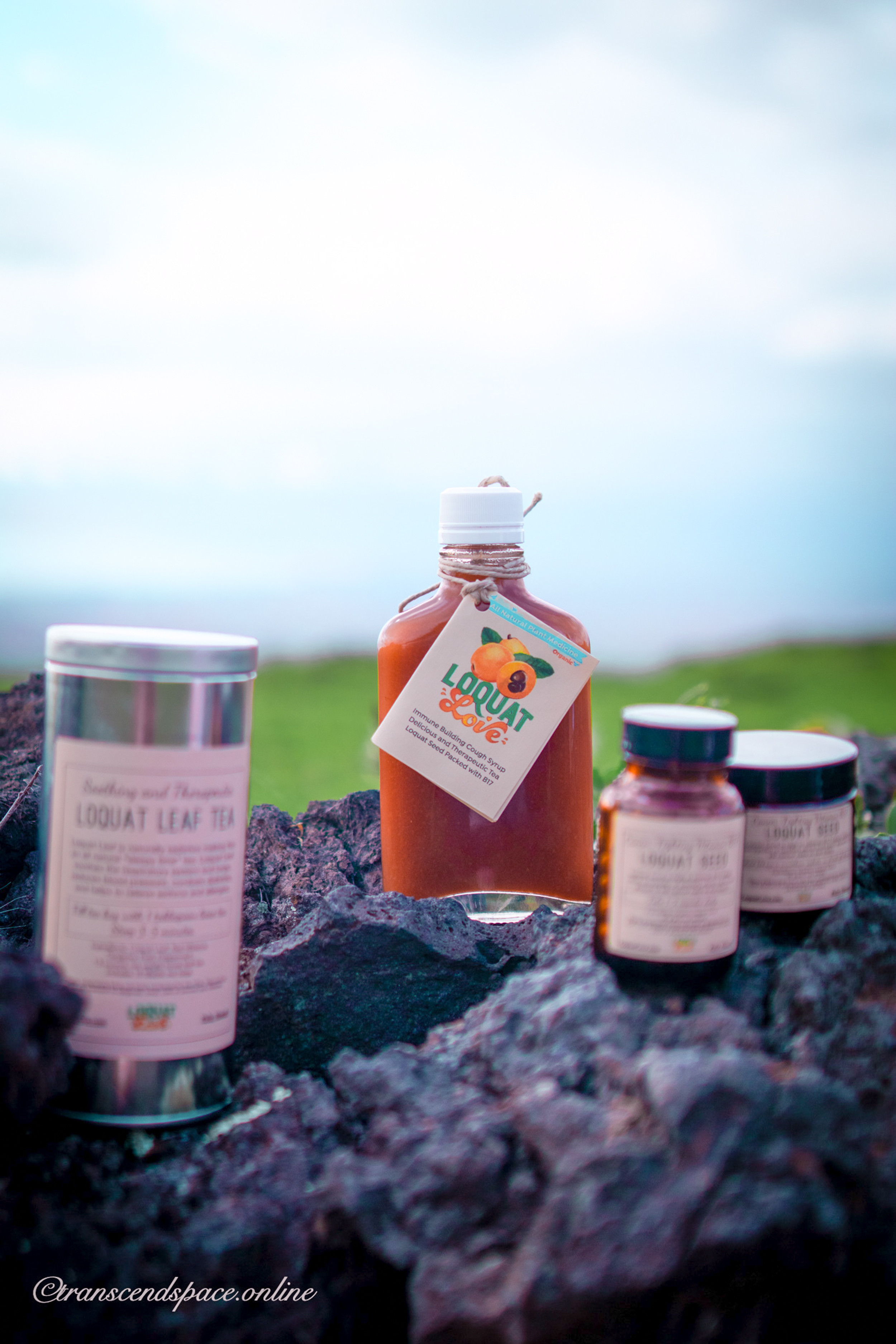 Shop | Organic Loquat Plant Medicine | Cough Syrup | Tea | Capsules ...