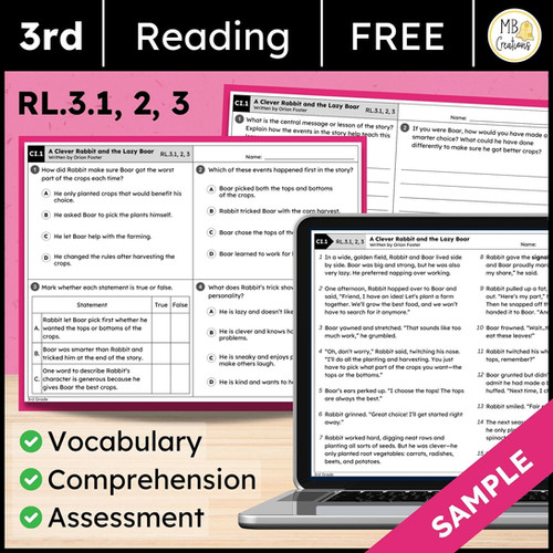 3rd Grade iReady Magnetic Reading Magnetic Literacy FREE Comprehension ...