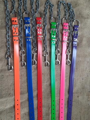 25mm Drovers Collar w/Chain | Merrill Creek Pet