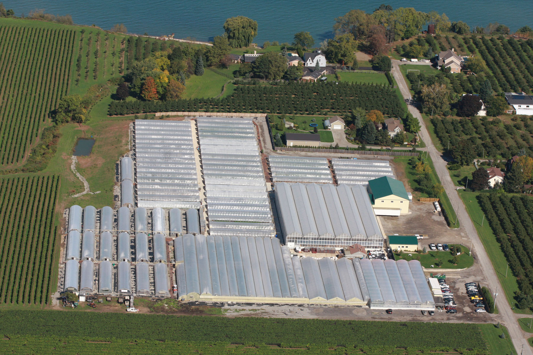 About | Ontario | Freeman Herbs