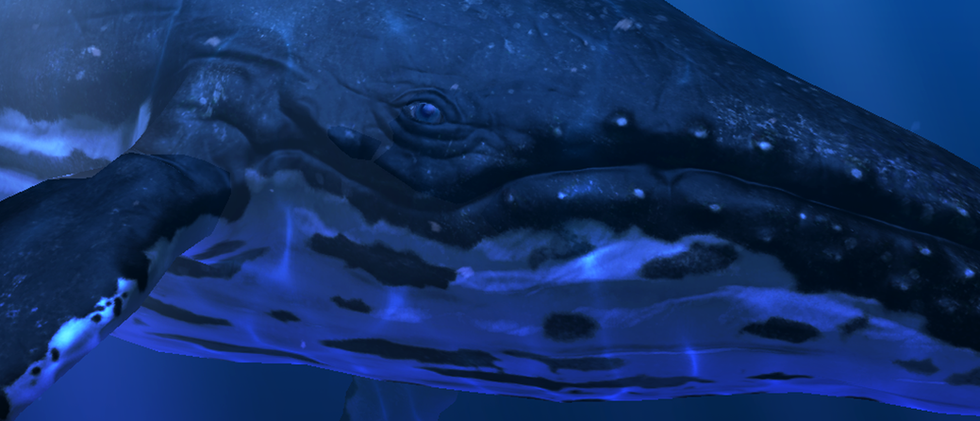 Ocean Rift | Picselica